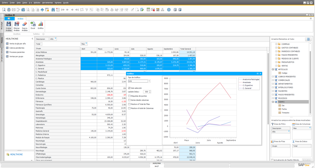 Business Intelligence Healthone His Sap Business One